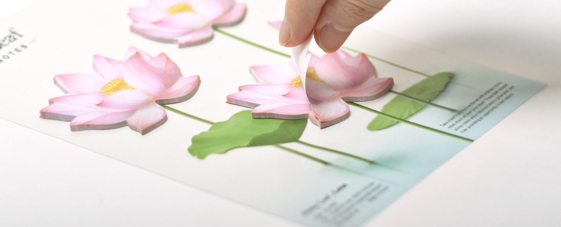 Appree Nature Sticky Notes - Korean Stationery | Dreaming of Tokyo